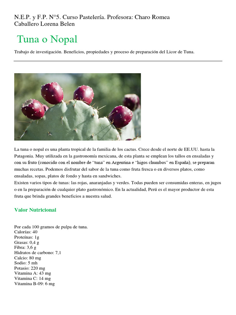 Beneficios y Licor de Tuna | PDF | Nutrición | Dieta y nutrición