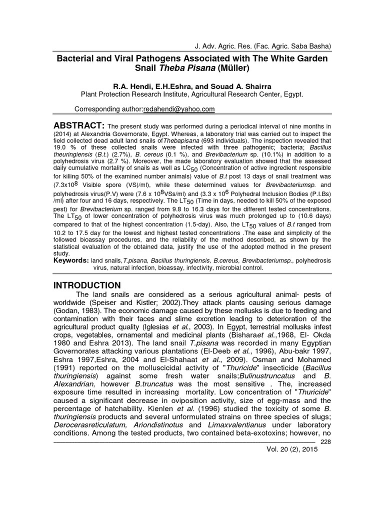 Bacterial And Viral Pathogens Associated Pdf Pathogen Virus