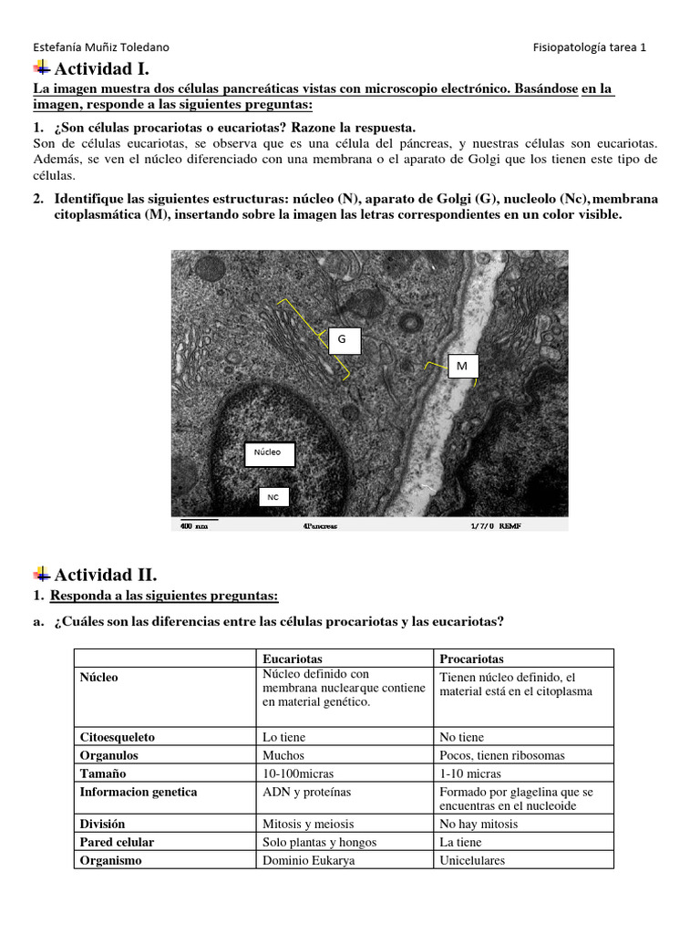 Muniz Toledano Estefania FG01 Tarea | PDF | Dieta y nutrición | Química