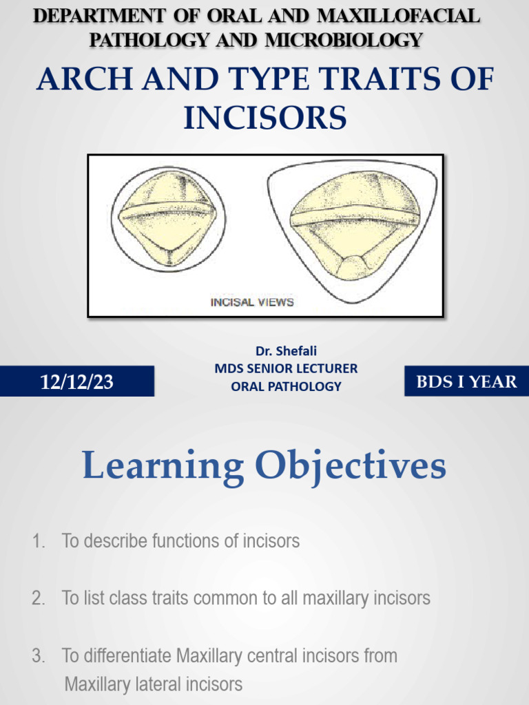 Type and Arch Traits of Incisors | PDF | Tooth | Mouth