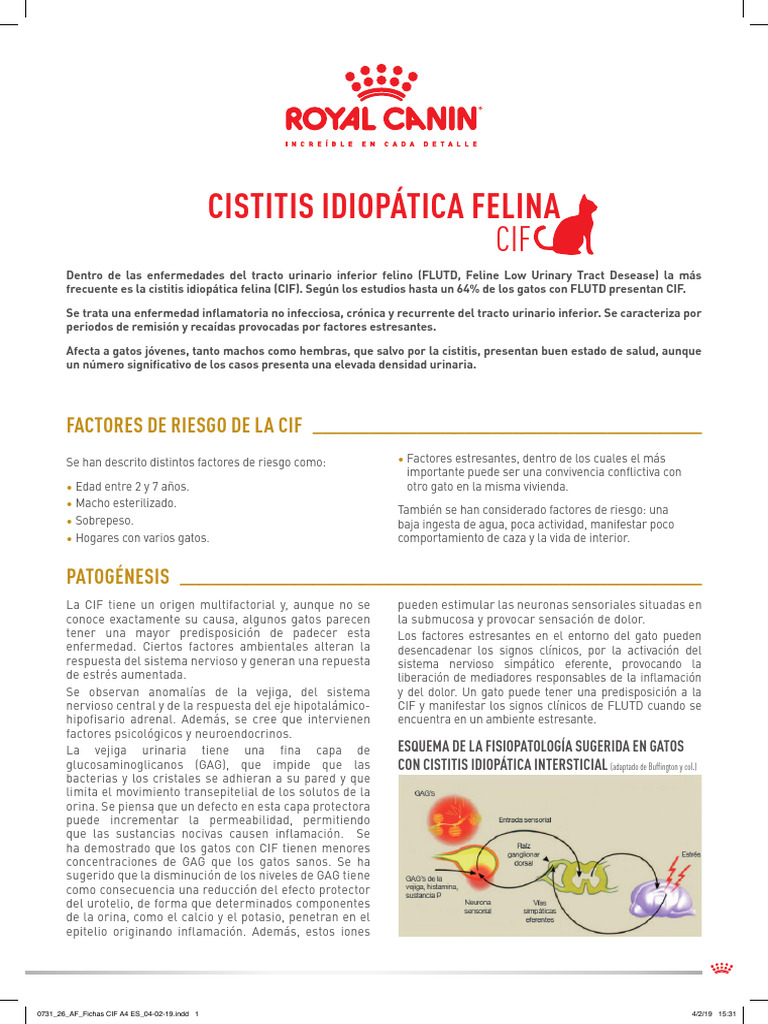 Urinary Cif | PDF | Gatos | Obesidad