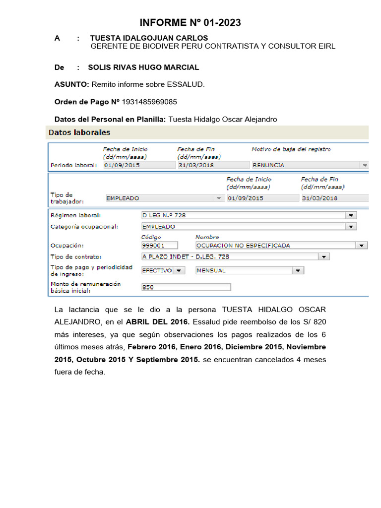 Informe #01 Essalud | PDF