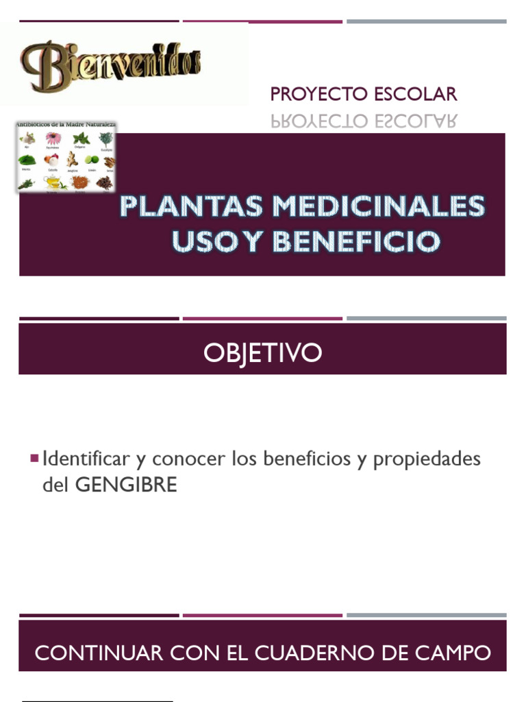 Proyecto Escolar Sema 1 | PDF