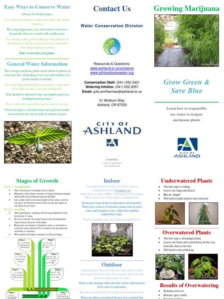 Growing Marijuana | PDF | Botany | Plants