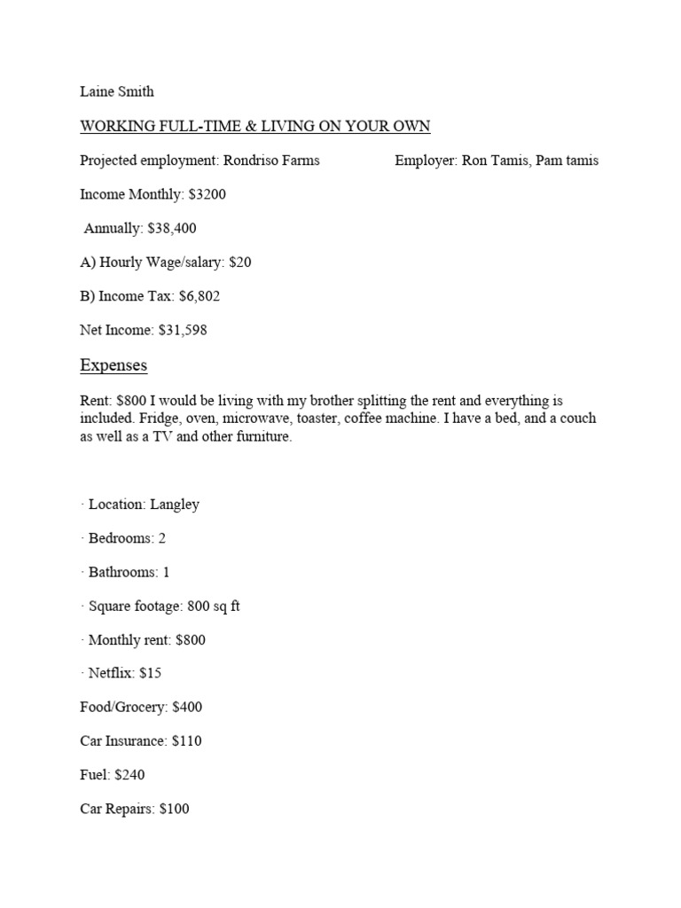 Transition Plan Living On My Own | PDF | Income | Economies