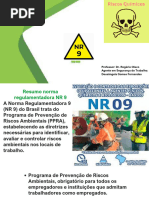 Norma Regulamentadora No. 9 (NR-9) - Ministério Do Trabalho e Emprego | PDF