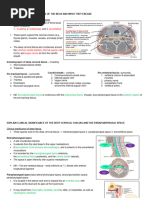 Maxillary Nerve | PDF | Human Head And Neck | Human Anatomy