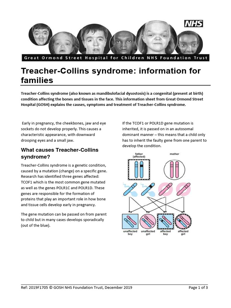 Treacher-Collins Syndrome Overview | PDF | Medical Specialties | Causes ...