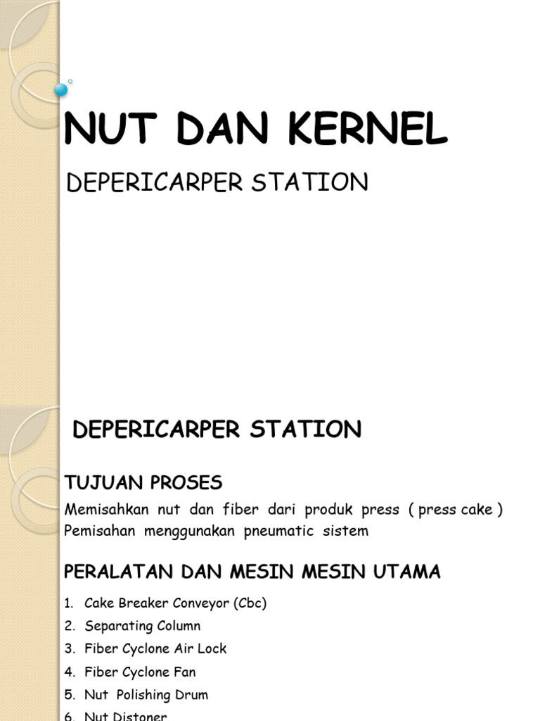 DISKUSI Depericarper-2 | PDF | Sains & Matematika | Teknologi & Rekayasa