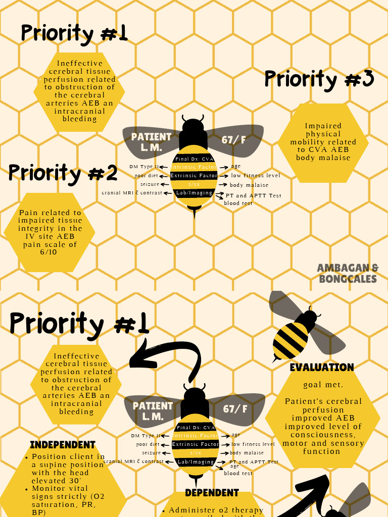 CVA Concept Map | PDF | Pain | Magnetic Resonance Imaging