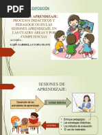 Procesos Pedagógicos y Didácticos de Una Sesión de Aprendizaje | PDF | Evaluación | Conocimiento