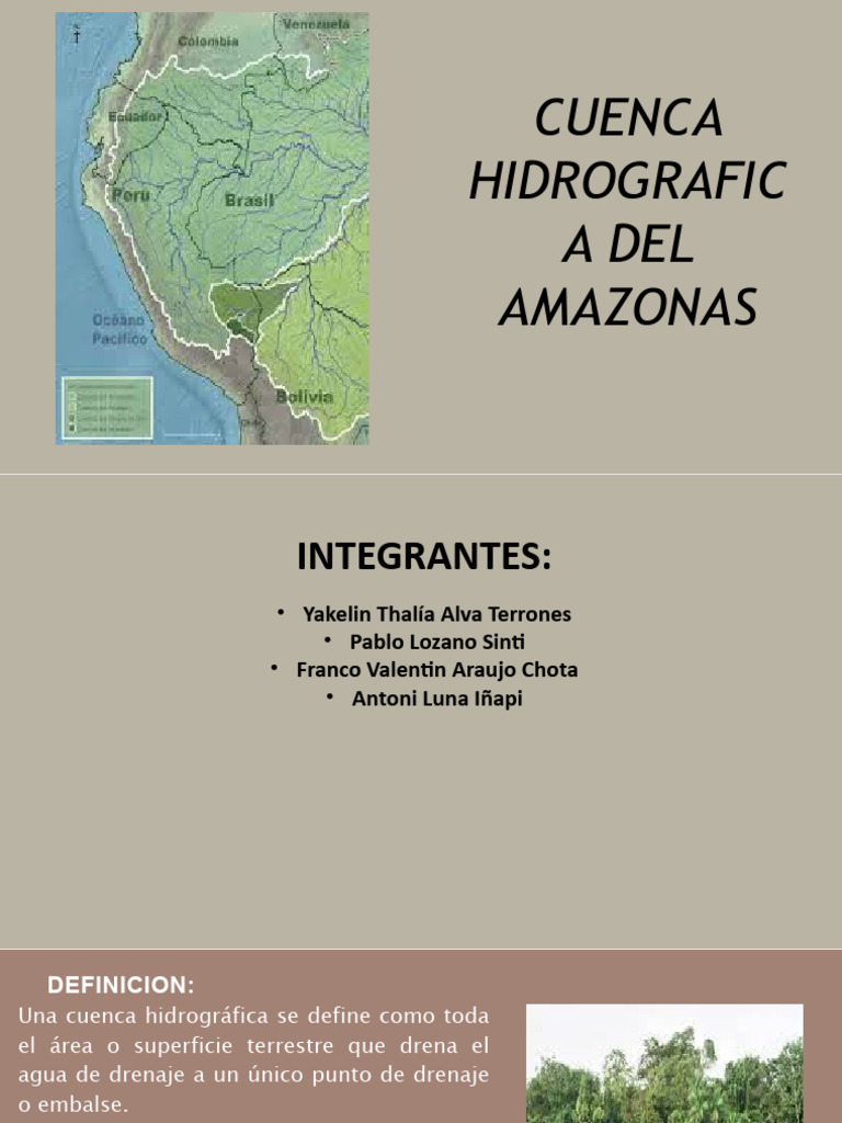 Cuencas Hidrograficas Del Amazonas | PDF | Río | río Amazonas
