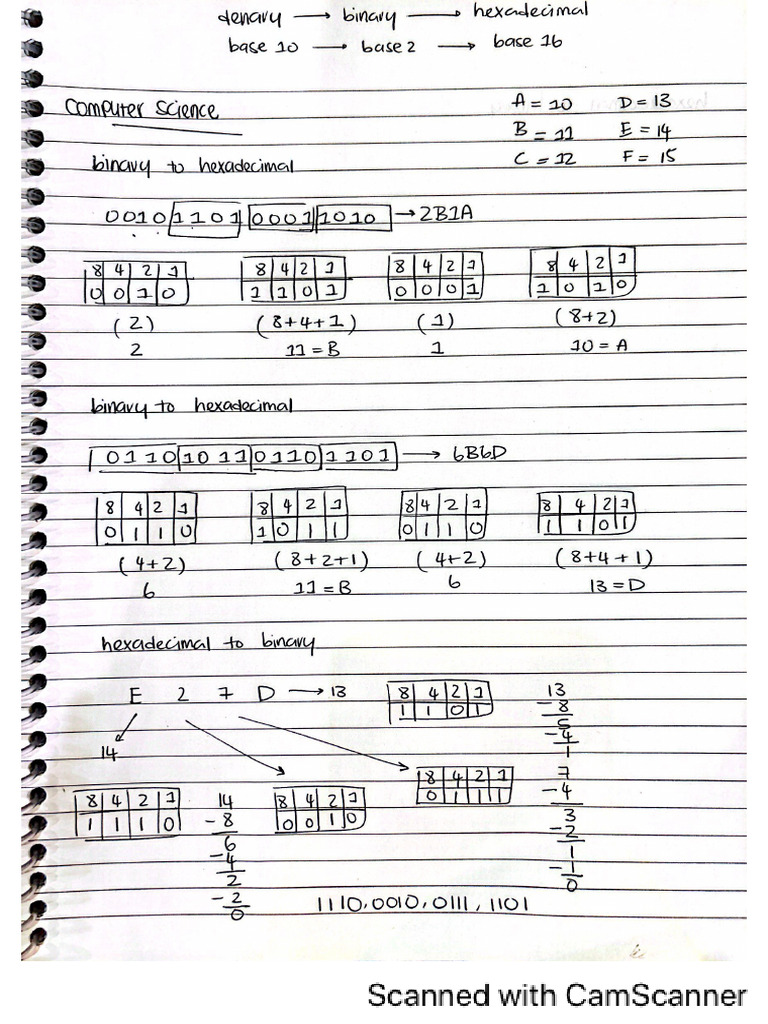 Cs Chapter 1 pt2 | PDF