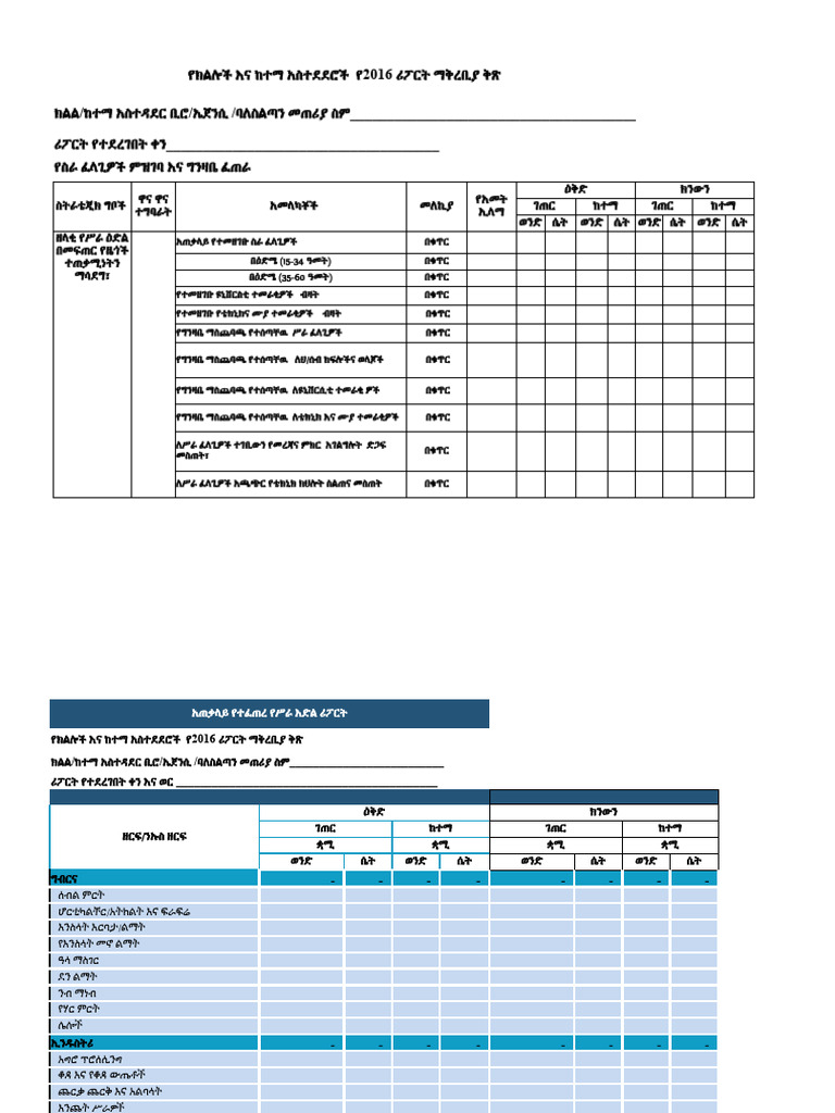 2016 REport Template | PDF