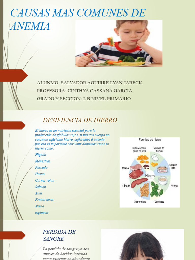 Causas Mas Comunes de Anemia 2 | PDF