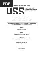 Proceso de Atención de Enfermería (PAE) Libro | PDF | Examen físico ...