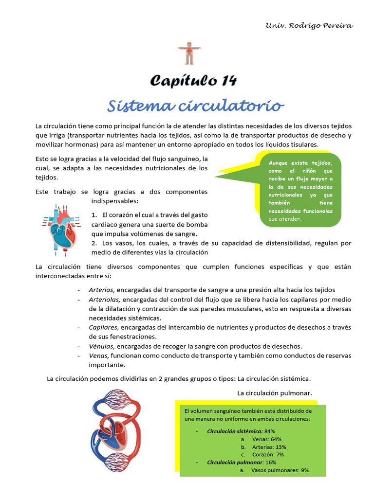 Circulatorio Fisio | PDF | Sistema circulatorio | Capilar