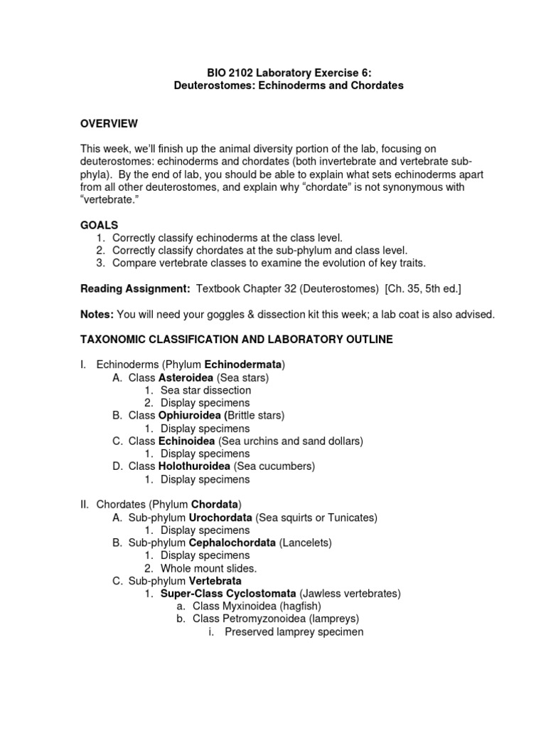 Echinoderms and Chordates Lab Overview | PDF | Vertebrates | Reptile