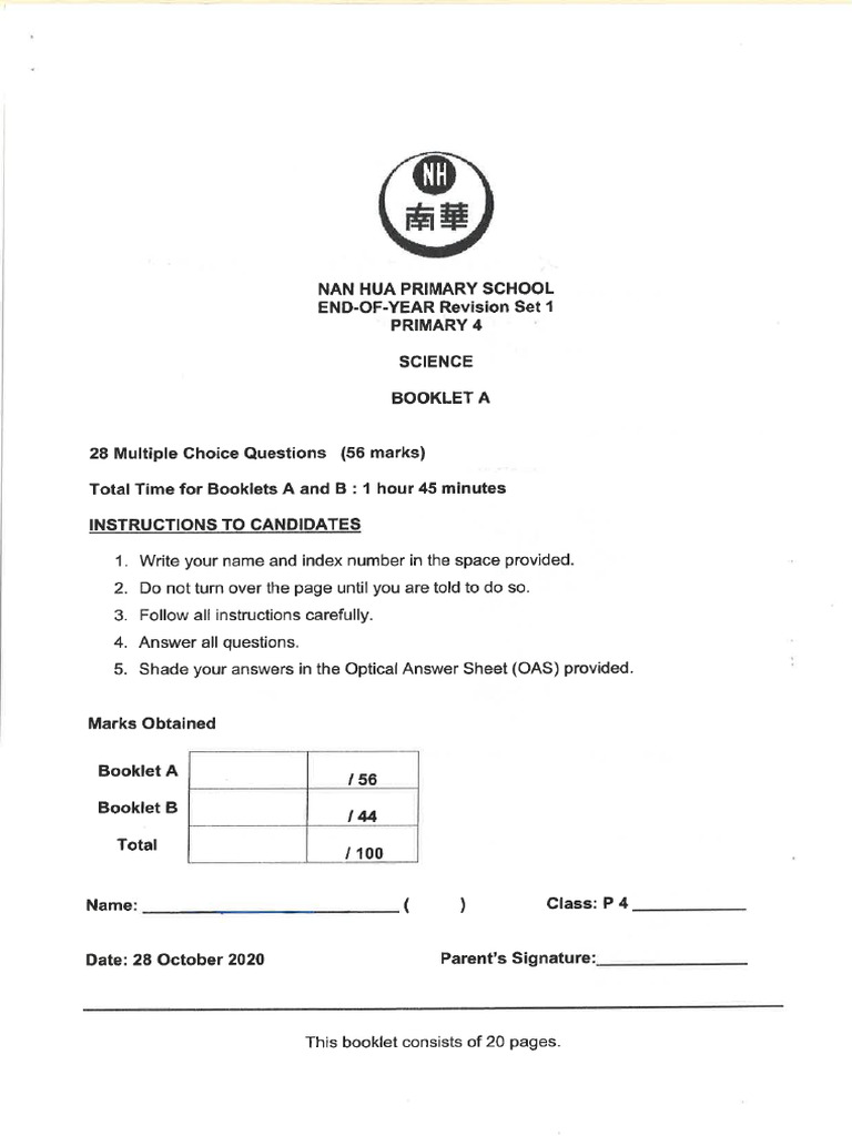 P4 Set 1 - Bklet A | PDF