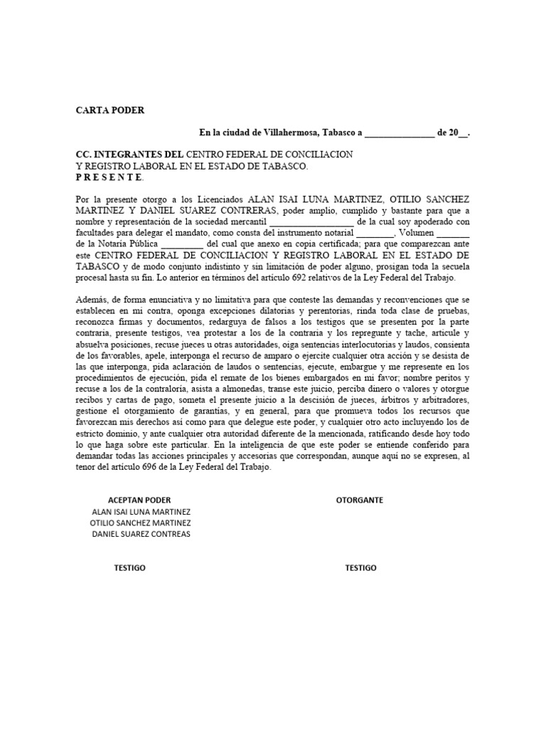 CARTA PODER FORMATO SIN MEMBRETE | PDF | Judicaturas | Ley Pública