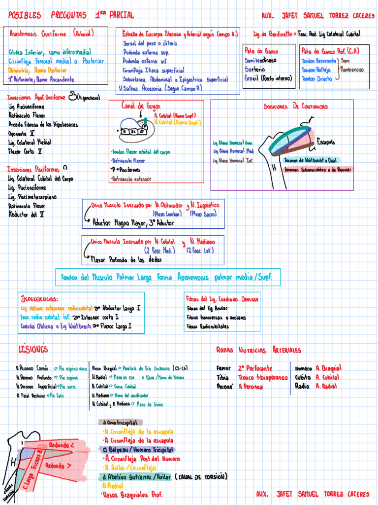 Esquema Posibles Preguntas 1er Parcial | PDF