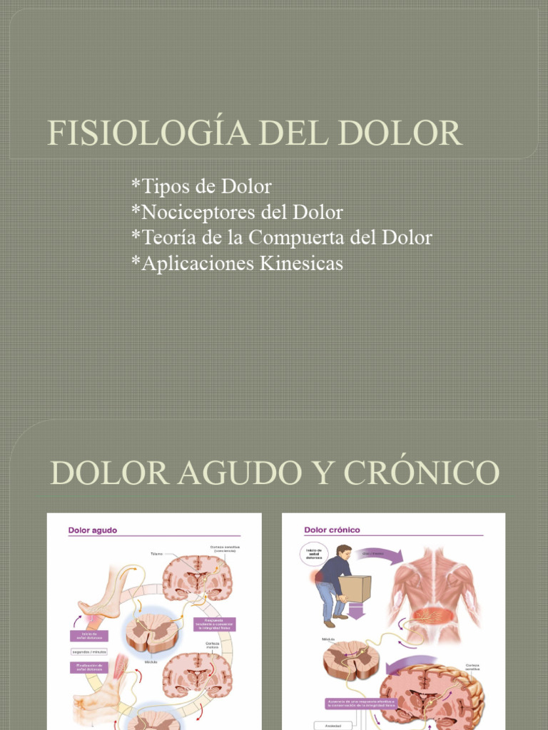 Fisiología Del Dolor | PDF