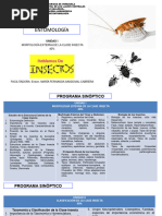 INSECTARIOS | PDF | Insectos | Ecosistema