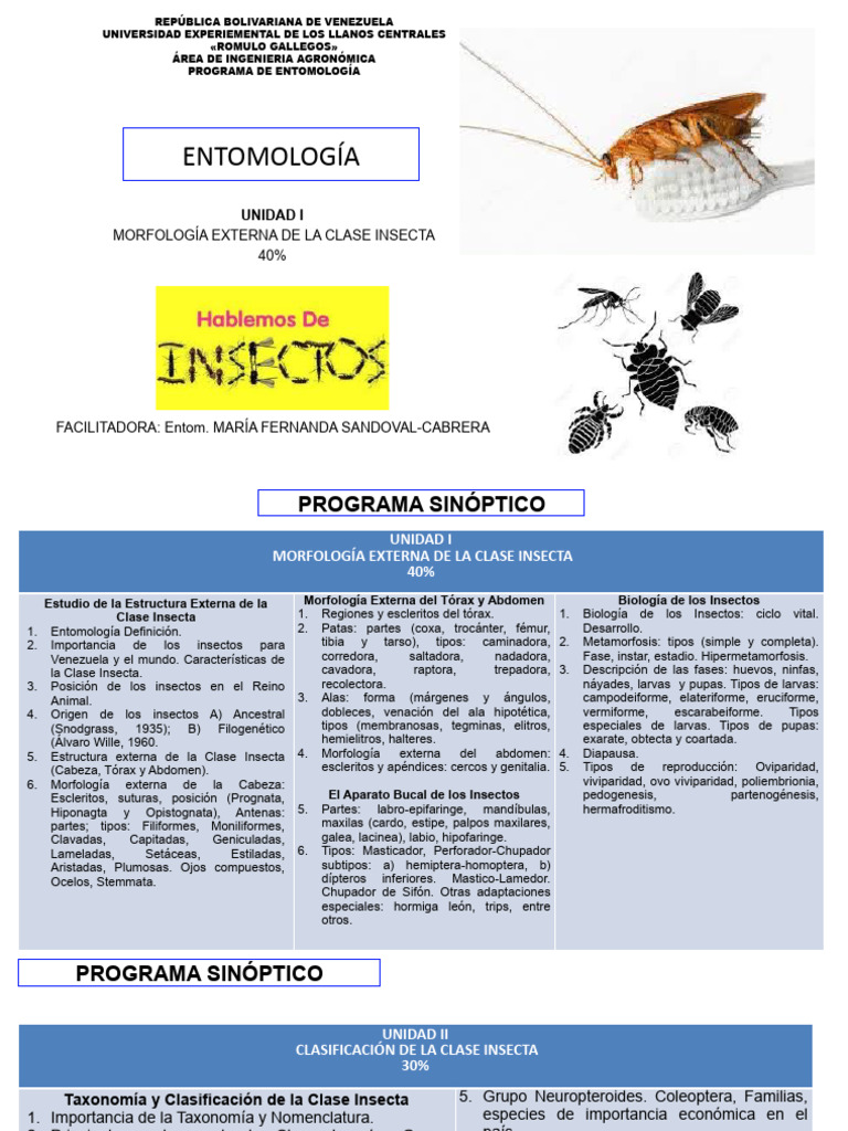 Filo Arthropoda Clase Insecta MFSC | PDF | Insectos | Hexapoda