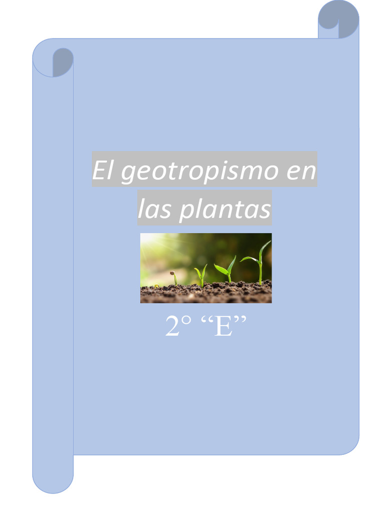 Geotropismo en Plantas: Estudio y Resultados | PDF | Plantas | Raíz
