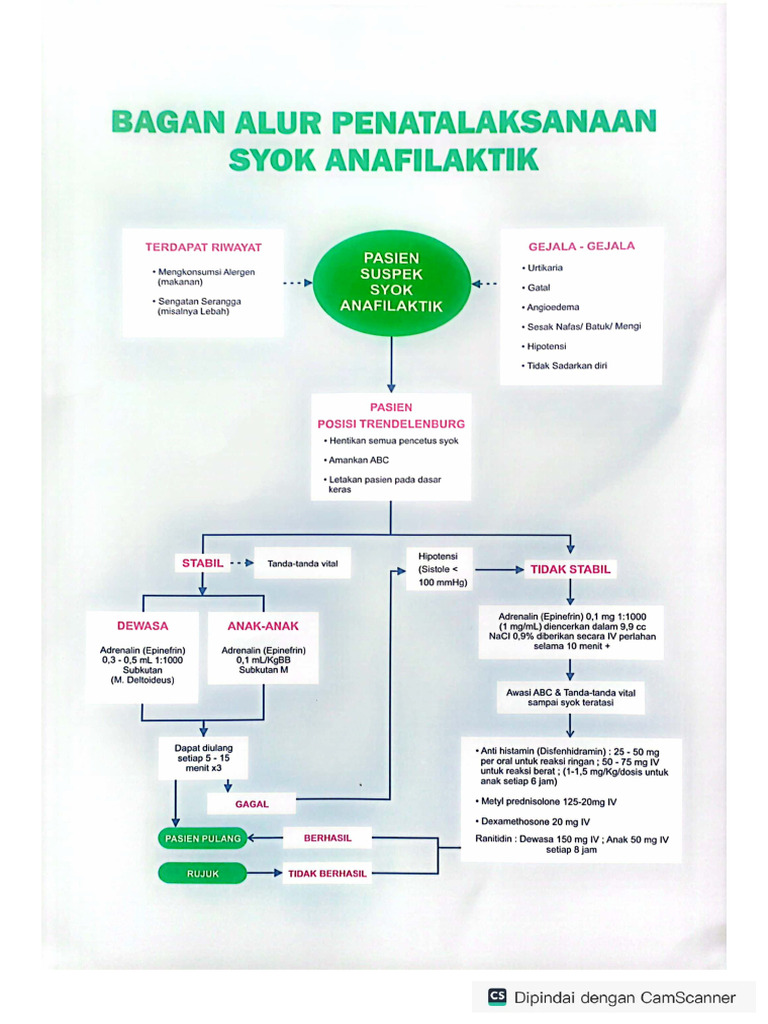 Bagan Alur Syok Anafilaktik | PDF