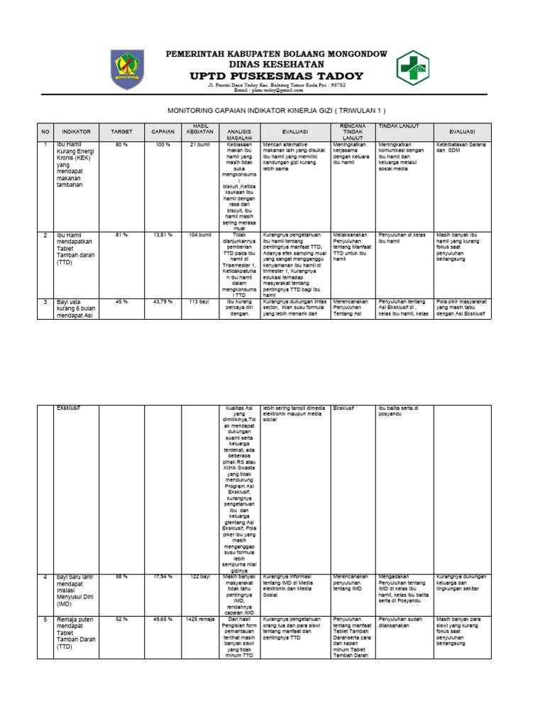 2.6.4.3 Monitoring Capaian Indikator Kinerja Gizi PKP | PDF