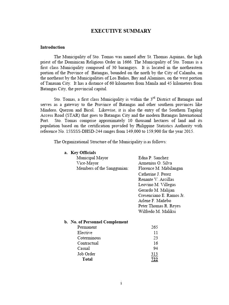 Santo Tomas Executive Summary 2017 | PDF | Audit | Financial Statement