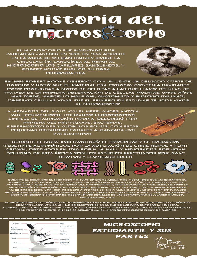 HISTORIA DEL MICROSCOPIO (Infografia) | PDF