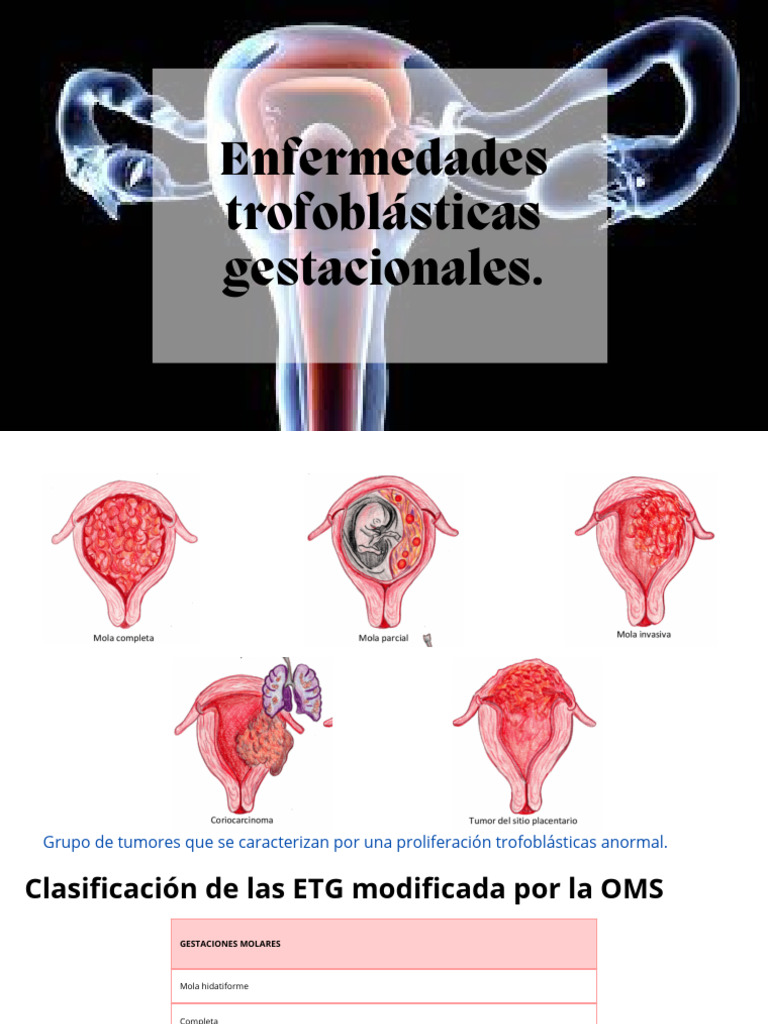 Anatomía Patológica II | PDF | Anatomía | Causas de la muerte