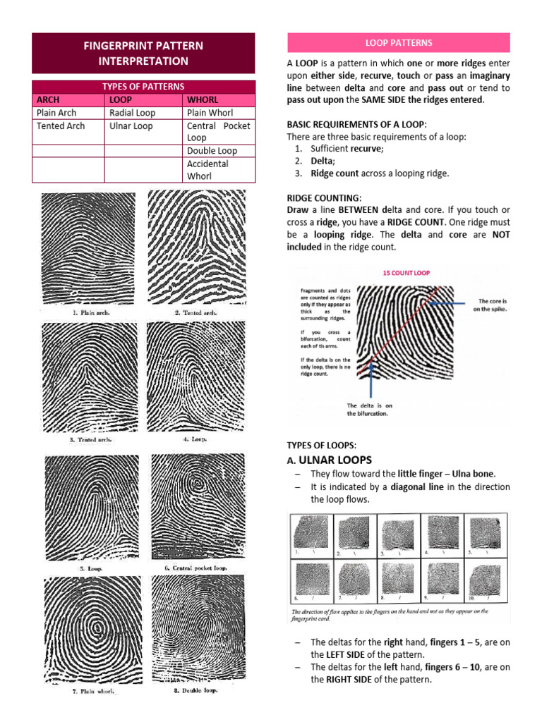 Dactyl Midterms | PDF | Fingerprint | Hand