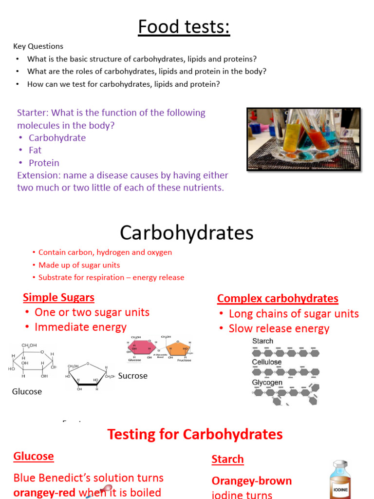 Food Tests - Required Practical | PDF | Carbohydrates | Lipid
