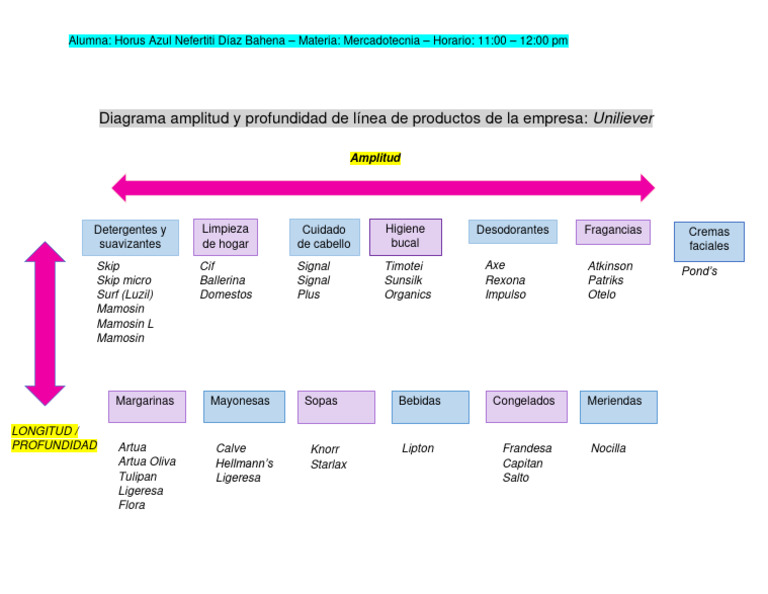 Diagrama Amplitud y Profundidad de La Linea de Productos | PDF