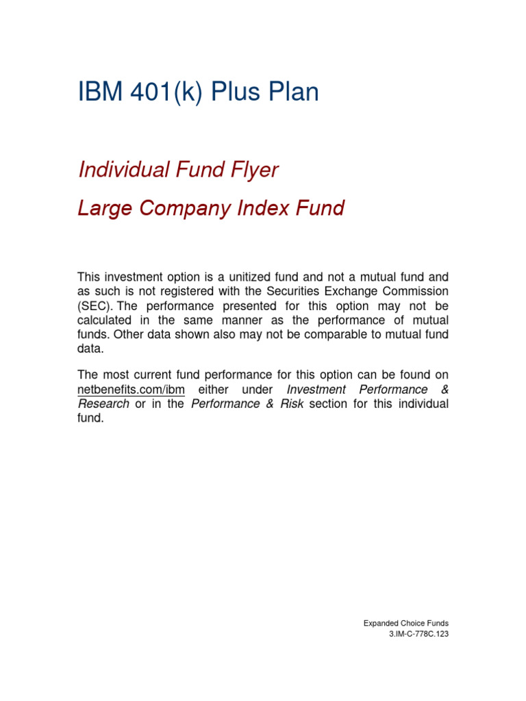 Fidelity Flyer Fund Info | PDF | Investment Fund | Stock Market Index