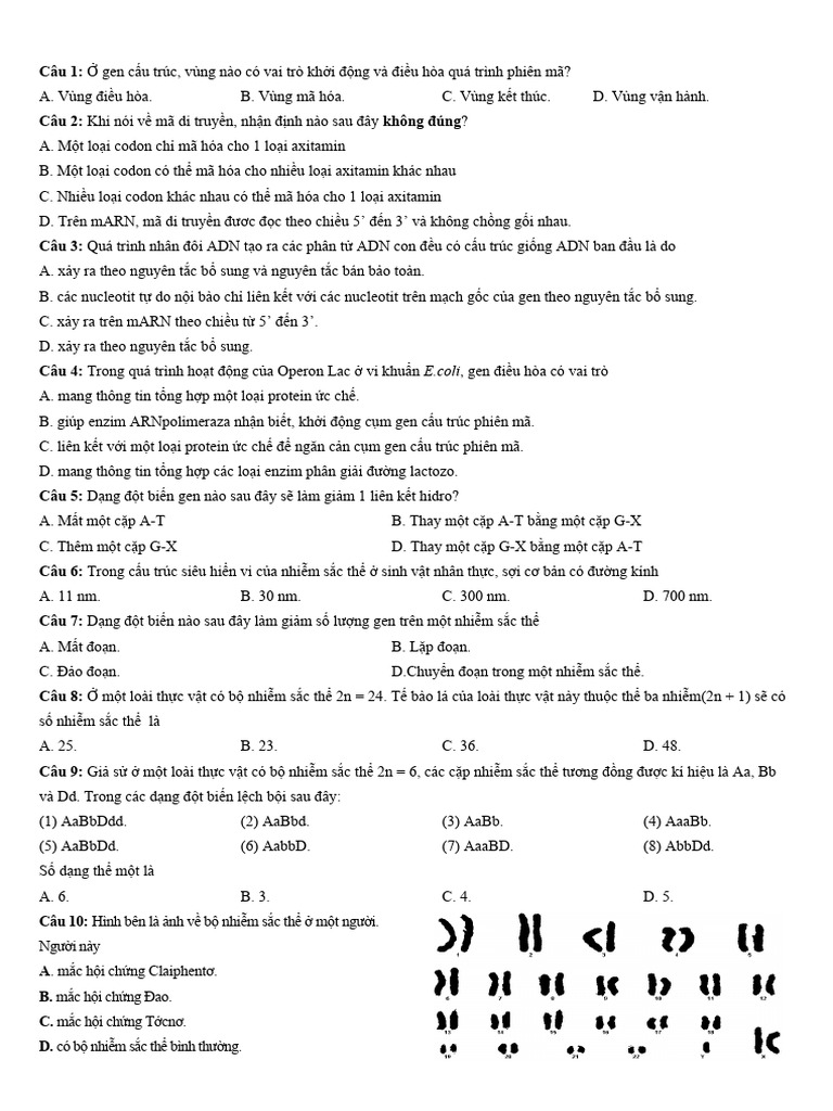 In... KT 1T Ki I 12B 2017 2018 | PDF