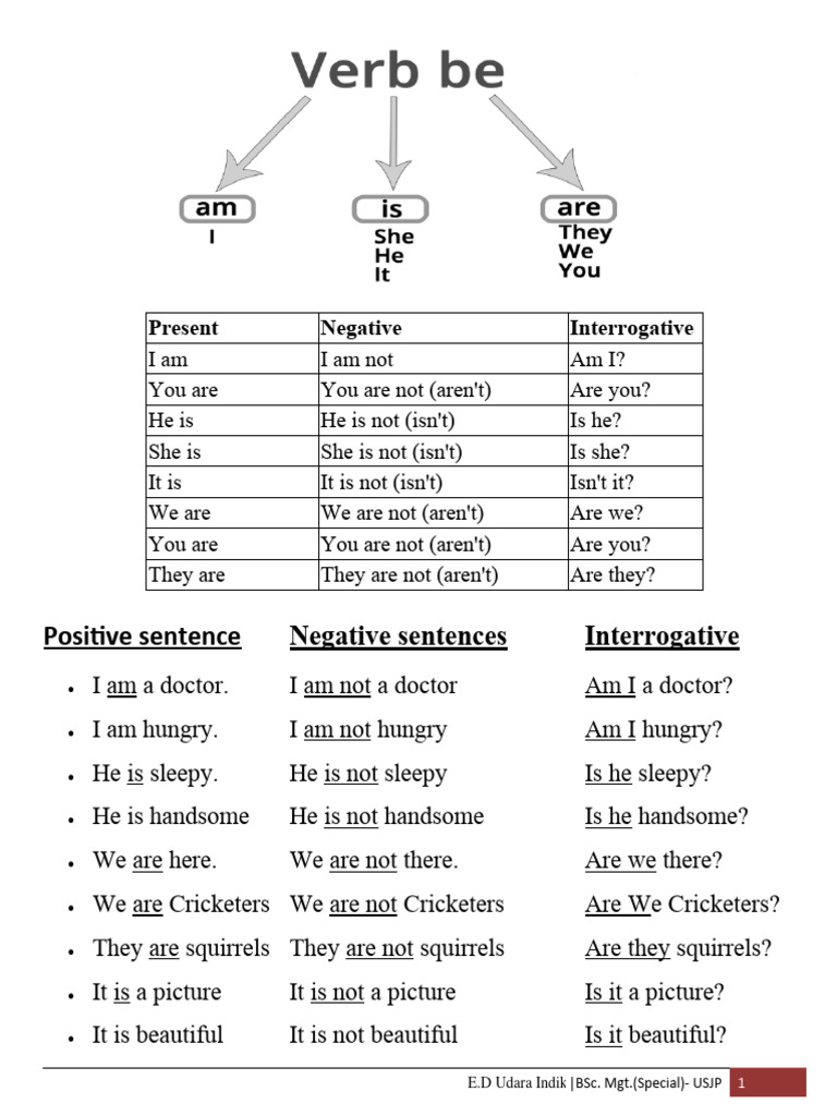 Interrogative and Negative Sentences Guide | PDF