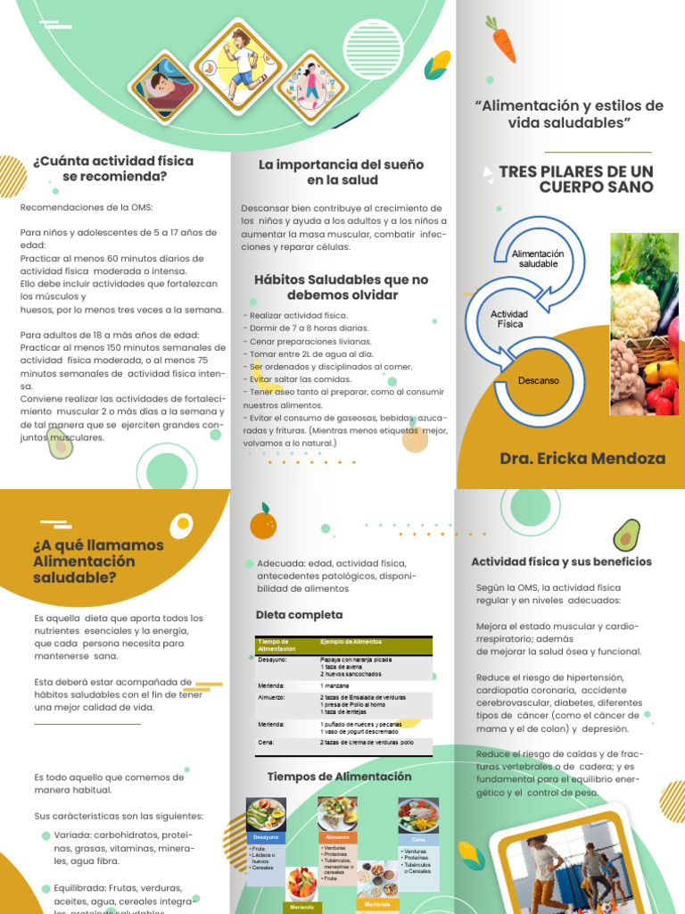 Triptico Alimentos | PDF | Alimentos | Vegetales