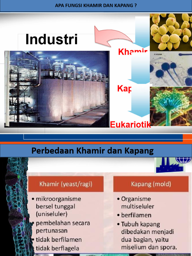 4 Kapang Dan Khamir | PDF | Kesehatan Holistik