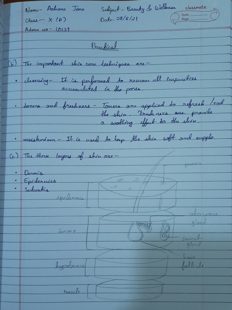 Beauty and Wellness Practical | PDF