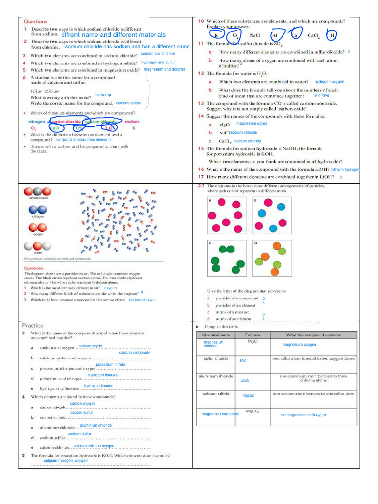 Uzduotis KMM Gamta 6 Klase | PDF