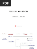 Kingdom Animalia - Phylum Summary Table | PDF | Gill | Zoology
