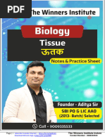 DELED Internship File Sem 3 - Lesson Plan | PDF