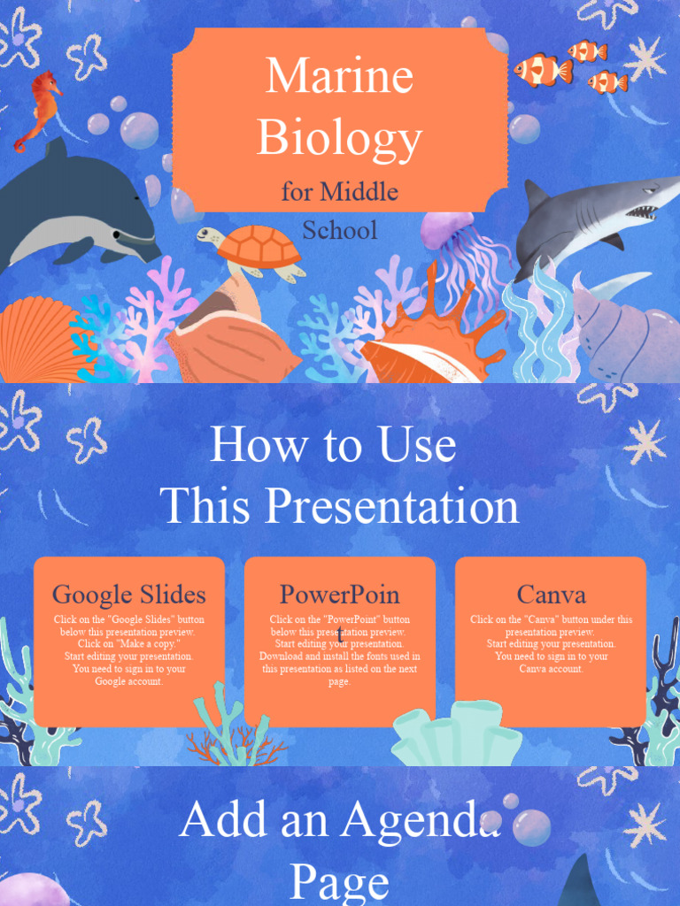 Marine Biology For Middle School Under The Sea Blue and Orange ...