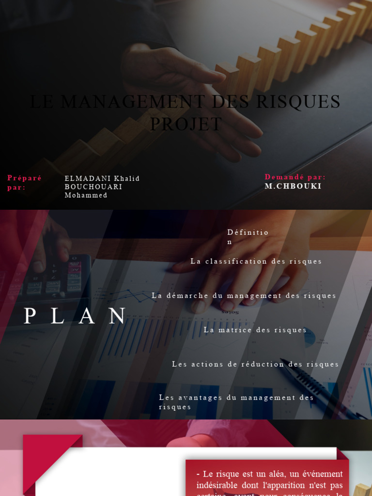 Le Management Des Risques | PDF | Risque | Gestion des risques