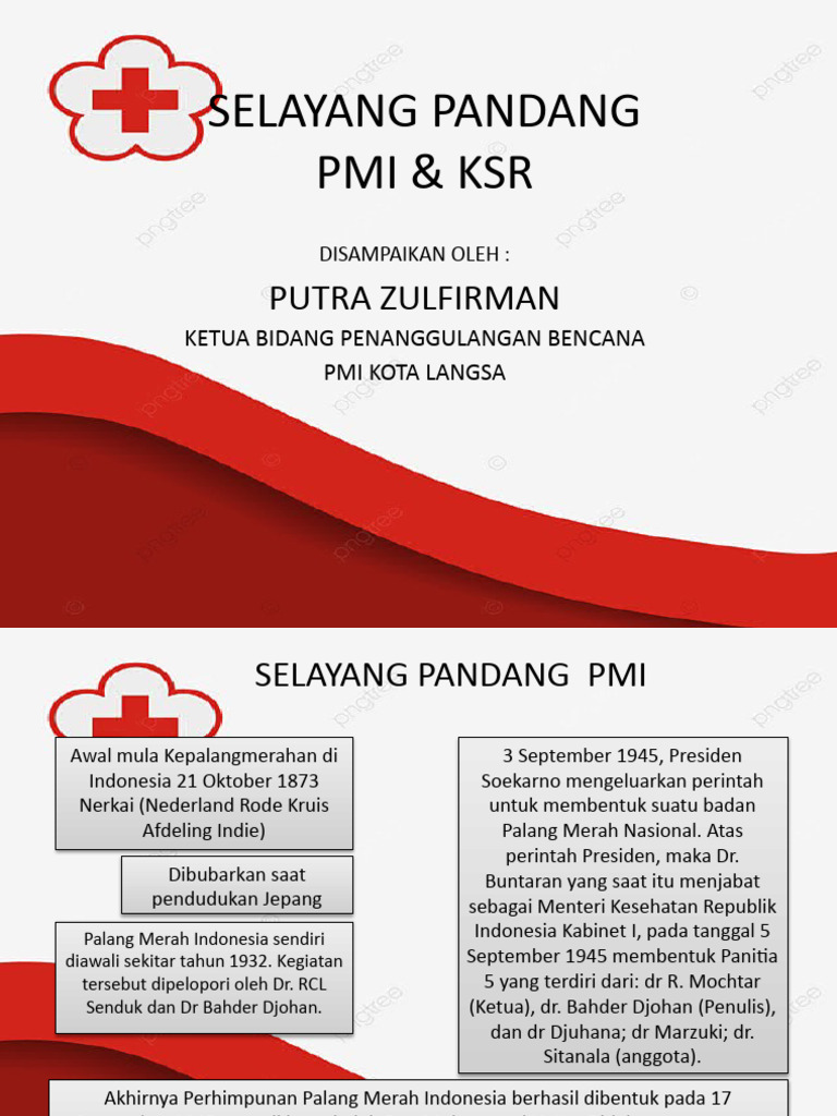 Selayang Pandang | PDF