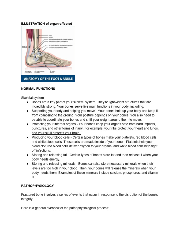 Case Study Foot Fracture | PDF | Bone | Wound Healing